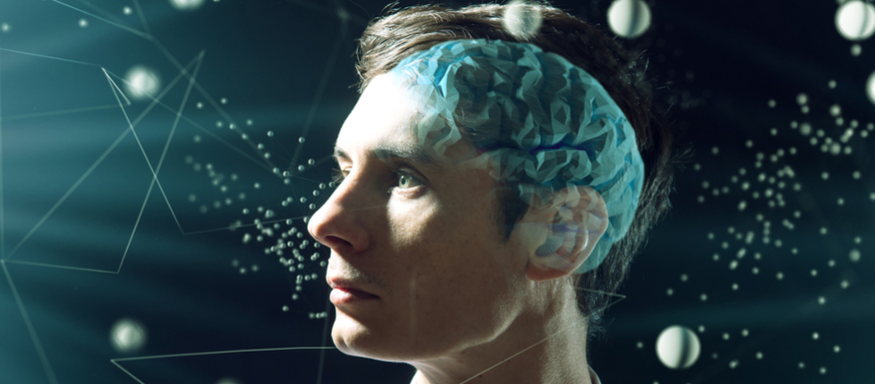 Protecting The Best Machine Of All: The Human Brain